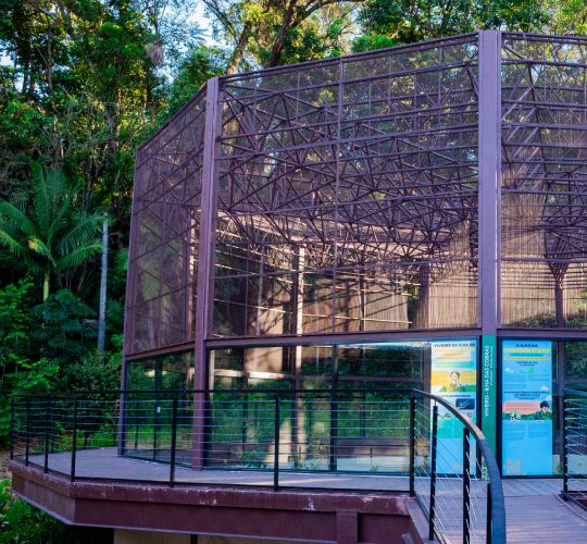 Butantan é pioneiro na conservação ex situ de serpentes, estratégia ...