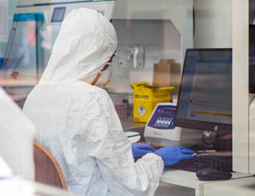 PCR: descubra como uma bactéria aquática deu origem a um dos ...