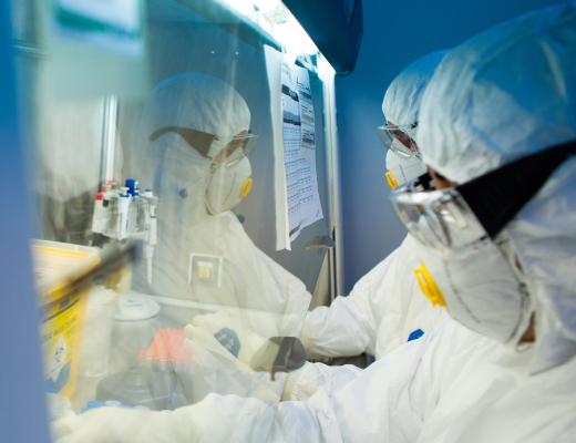 Butantan tem três projetos de parceria aprovados para vacinas da dengue ...