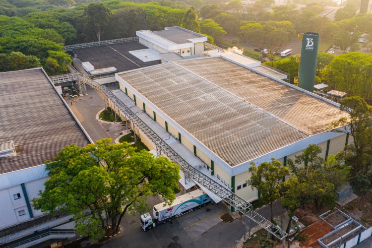 Fundação Butantan lança nova marca e reformula site; entenda quais são ...