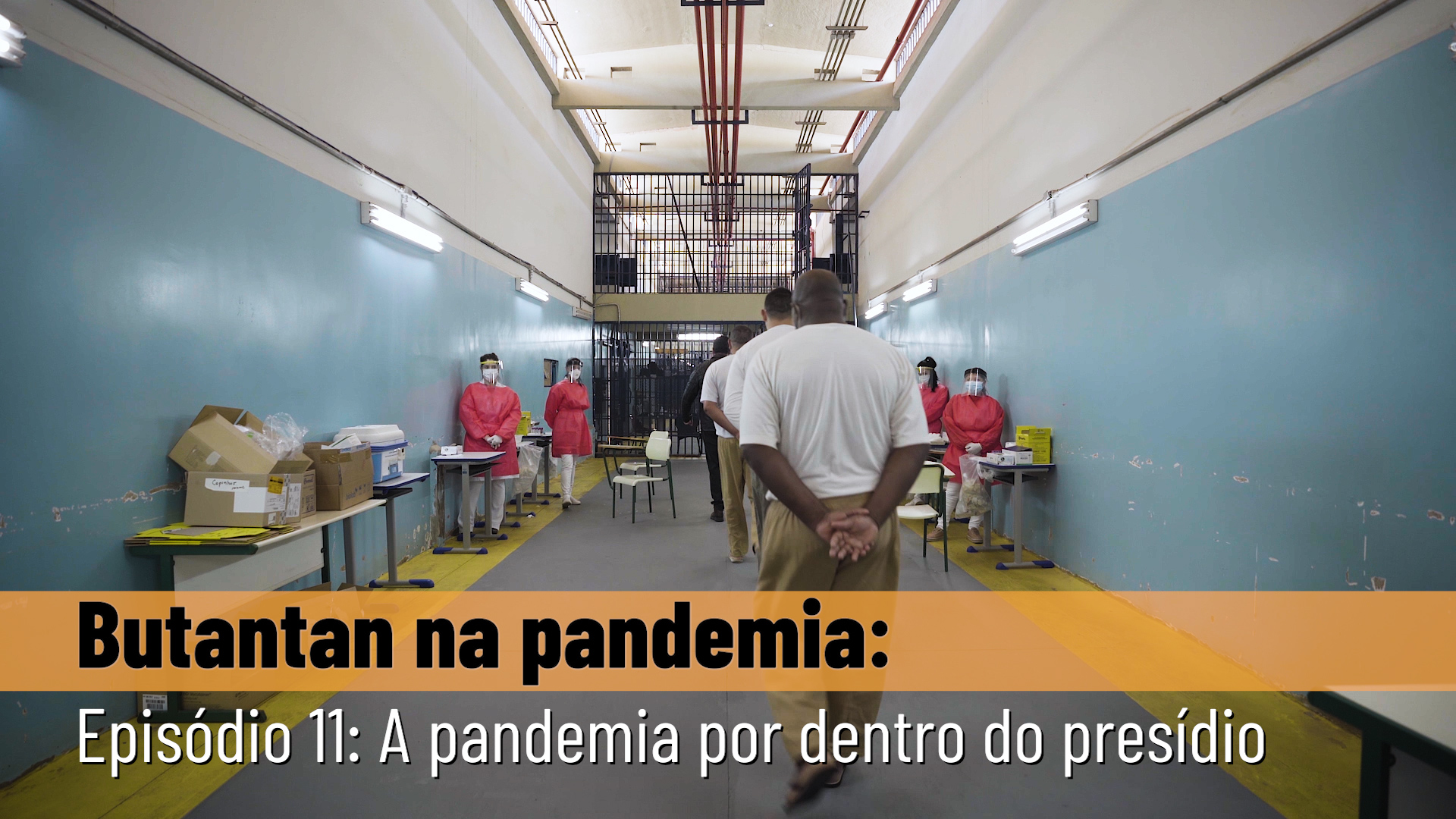Butantan na Pandemia: testagem para o novo coronavírus chega aos ...