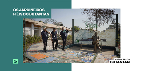 Home - Instituto Butantan